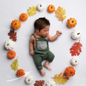 Fall Newborn Digital Backdrop, Fall Baby Background, Fall Newborn Photo ...