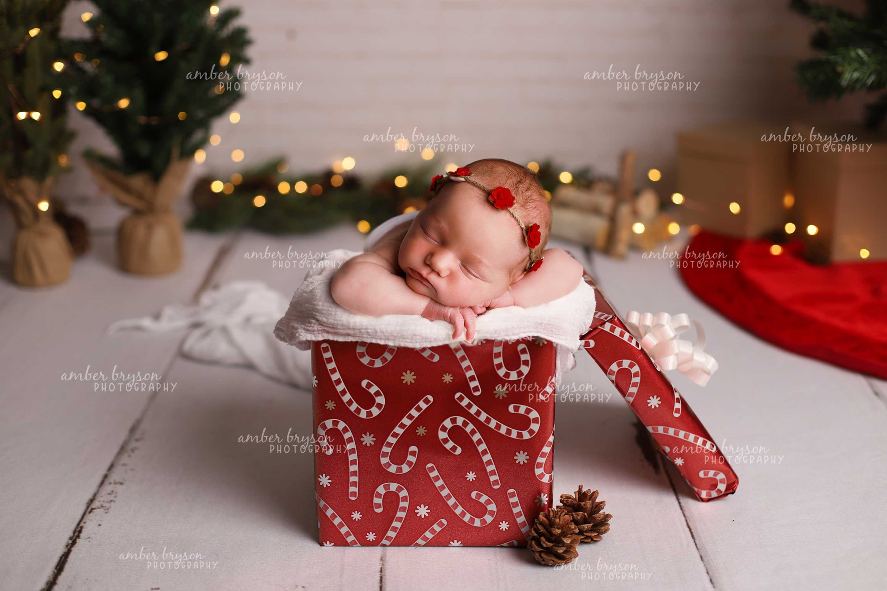 Christmas Newborn Digital Backdrop, Christmas Present Newborn, Newborn ...
