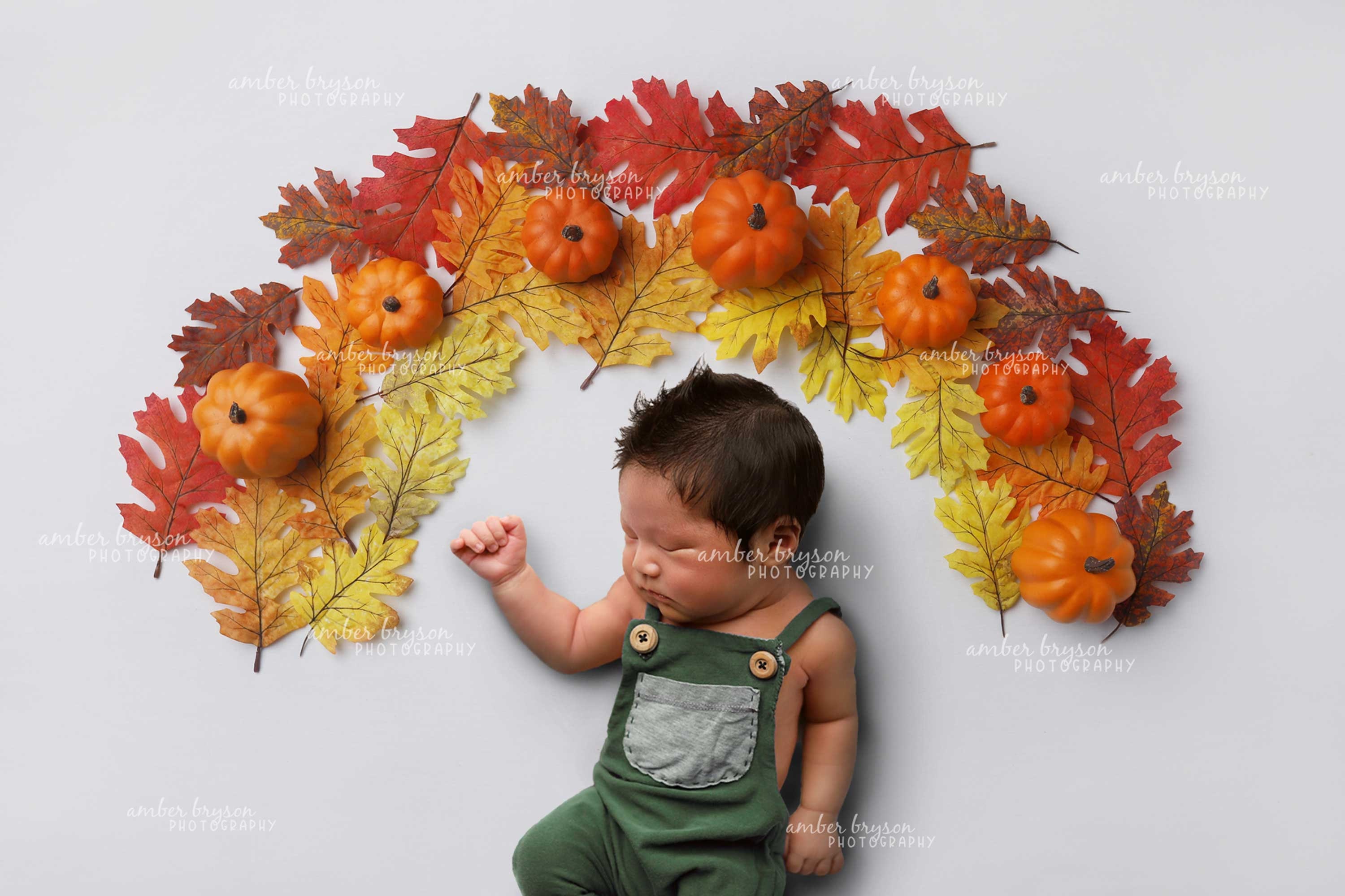 Fall Newborn Digital Backdrop, Fall Baby Photo, Fall Newborn Photo Prop ...