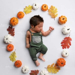 Fall Newborn Digital Backdrop, Fall Baby Background, Fall Newborn Photo ...