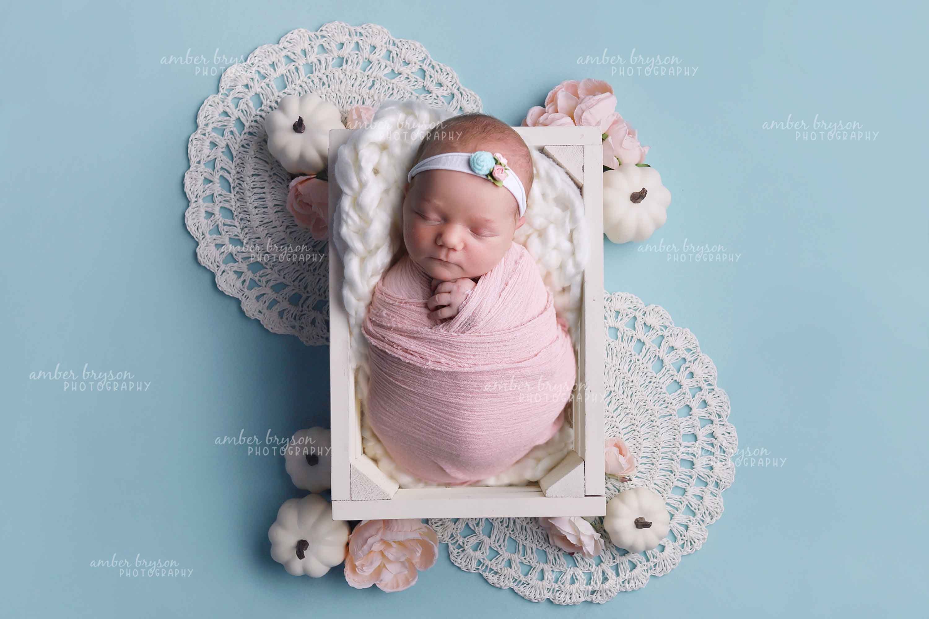 Newborn Digital Backdrop, Girl Backdrop, Floral and Pumpkin Newborn ...