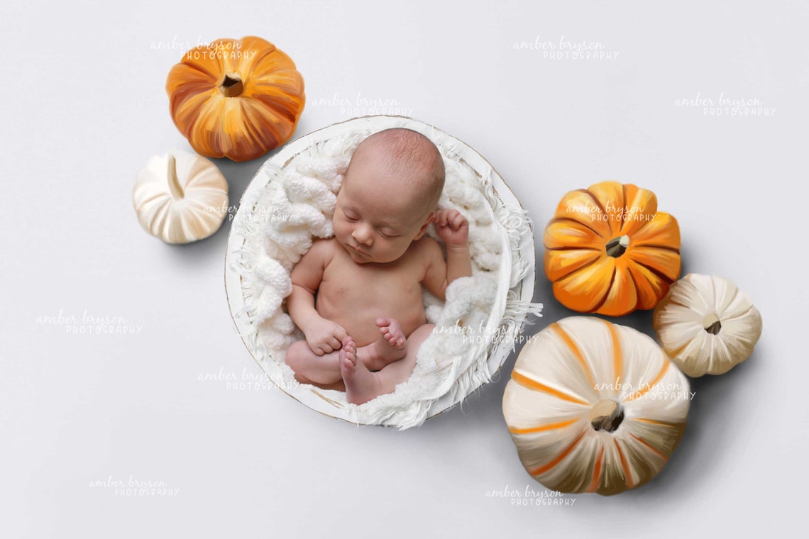 Fall Newborn Digital Backdrop, Pumpkins, Baby Photo Prop, Halloween ...