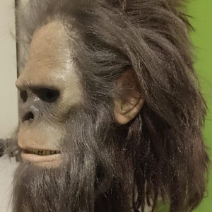 Bigfoot, Sasquatch, Skunk Ape, Yowie Mask Realistic Cosplay Halloween ...