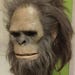 Bigfoot, Sasquatch, Skunk Ape, Yowie Mask Realistic Cosplay Halloween ...
