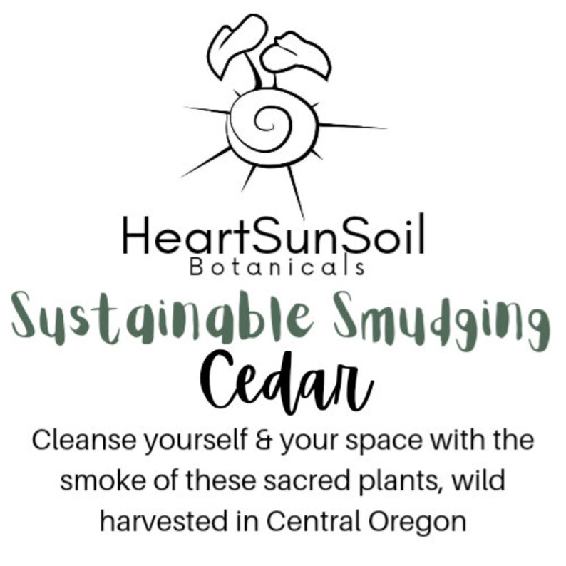 Loose Leaf Cedar 0.5 Oz Smudge Cleansing - Etsy