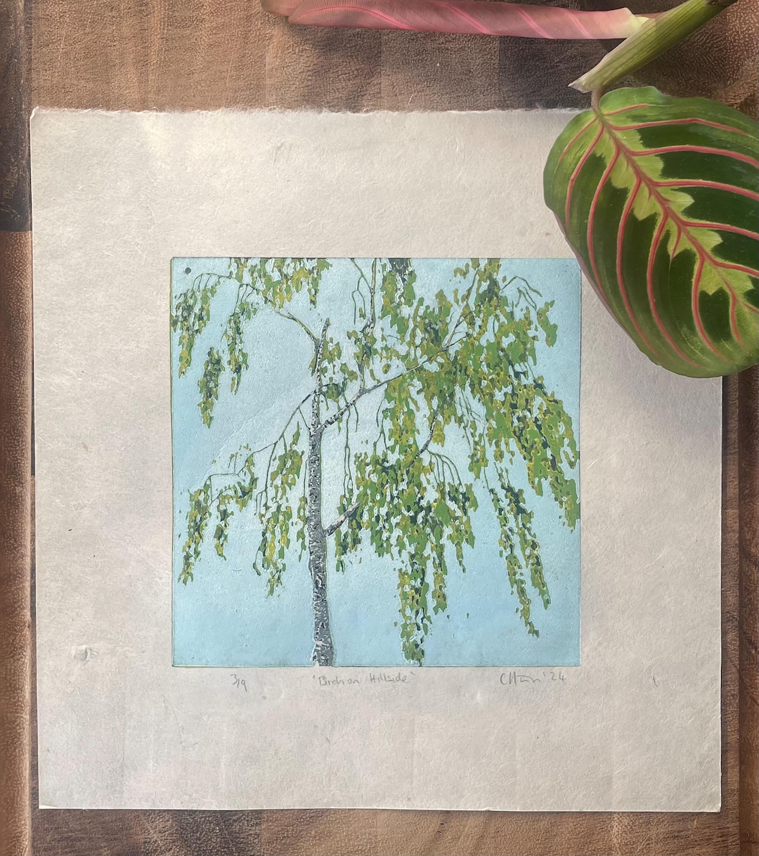 Linocut Print | Birch on Hillside Mini Print | Birch Tree Print | - Etsy