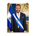 Nayib Bukele Poster Print - Official Portrait Poster Print - Etsy