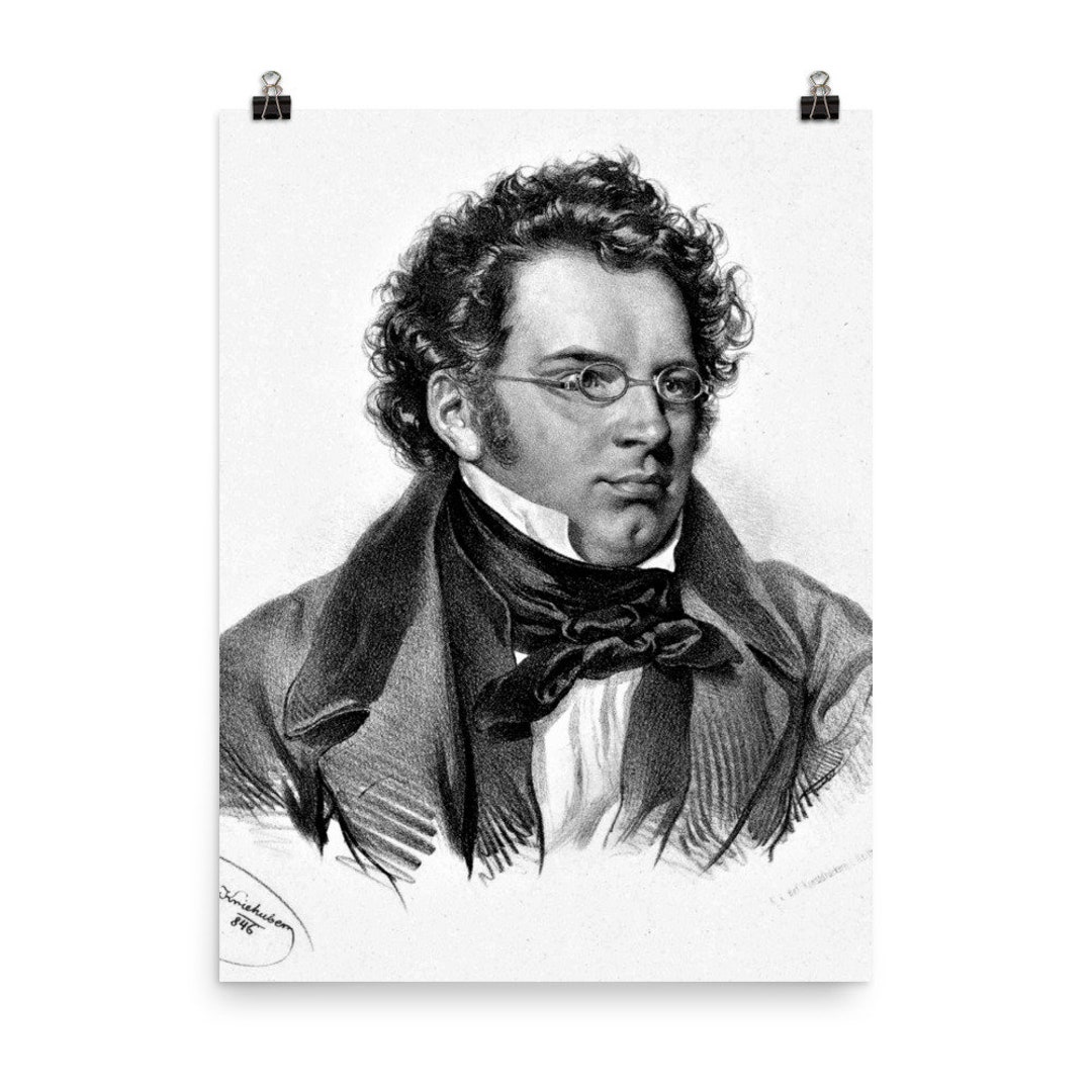 Franz Schubert Poster Print - Etsy