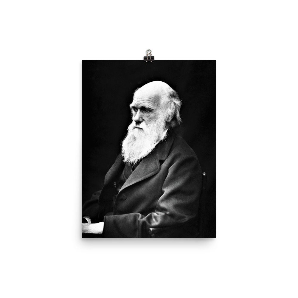 Charles Darwin Poster - Etsy