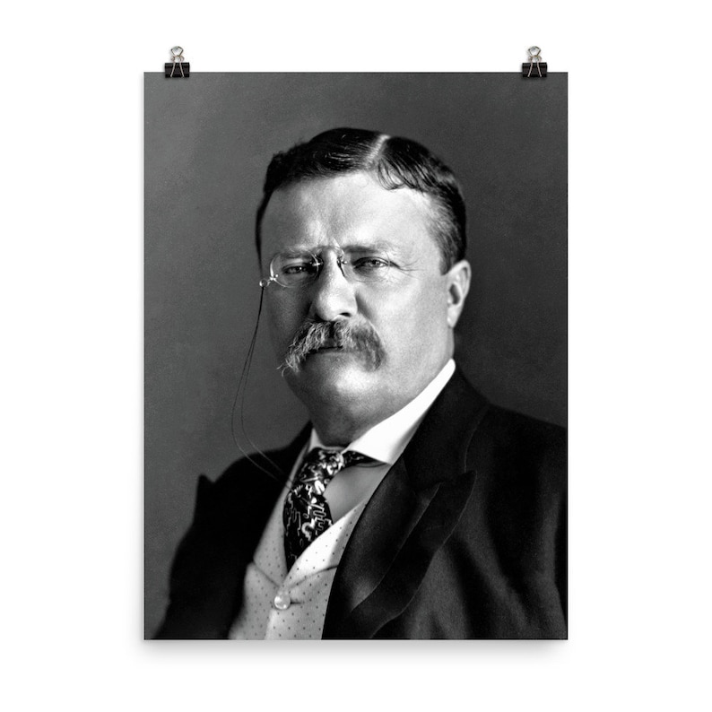 President Theodore 'teddy' Roosevelt Photo Portrait - Etsy