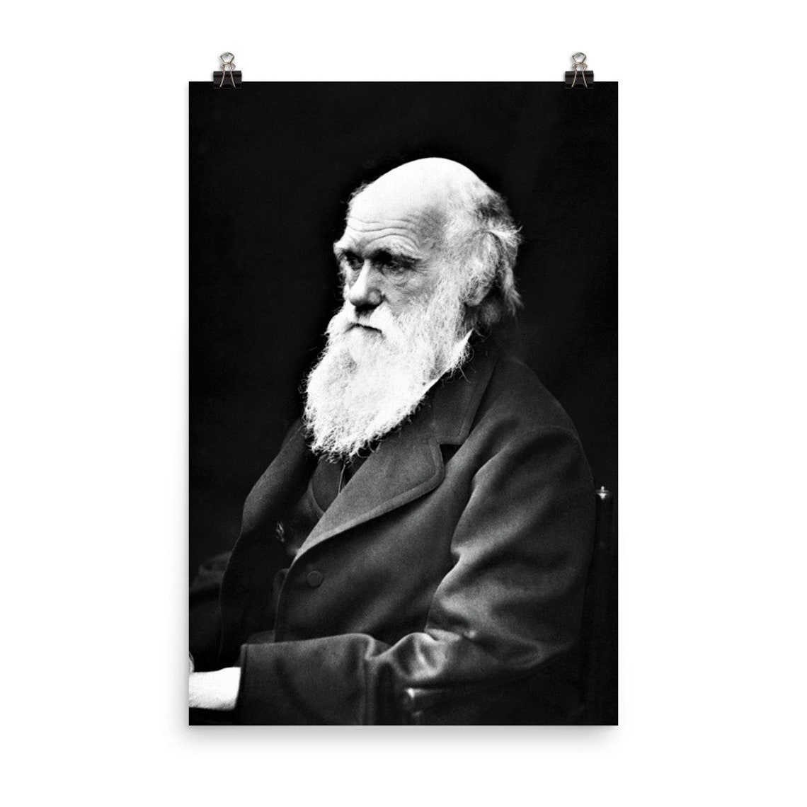 Charles Darwin Poster | Etsy