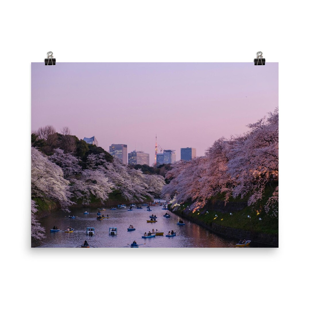 Tokyo Cherry Blossom Poster Print - Stunning Wall Art of Hanami Season ...
