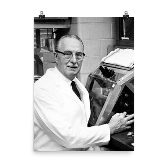 George Otto Gey Poster Print - Etsy