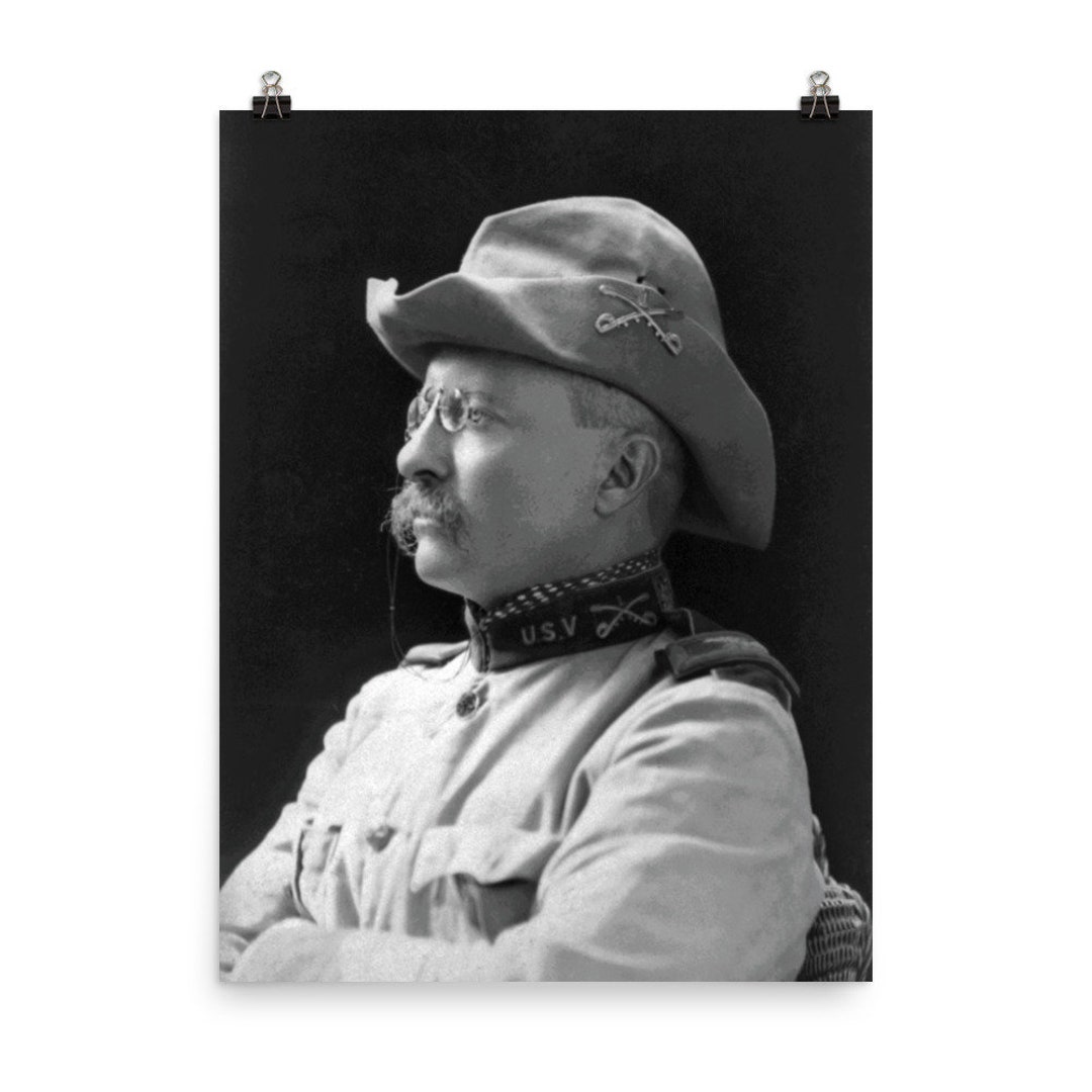 Col. Theodore 'teddy' Roosevelt Poster Print - Etsy