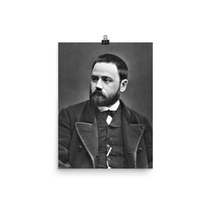 Emile Zola Poster Print - Etsy