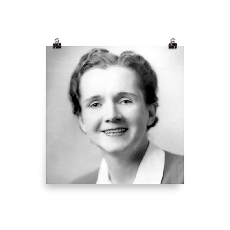 Rachel Carson Poster Print - Etsy