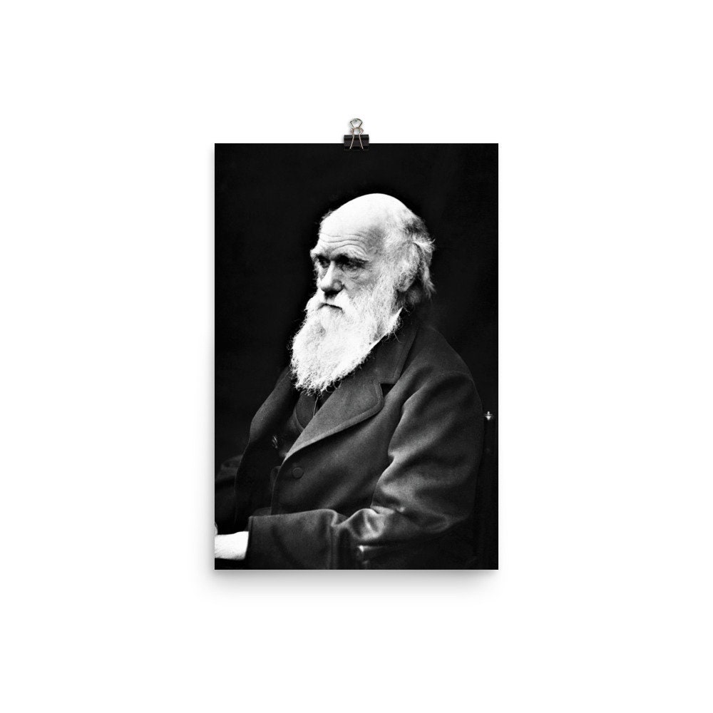 Charles Darwin Poster - Etsy