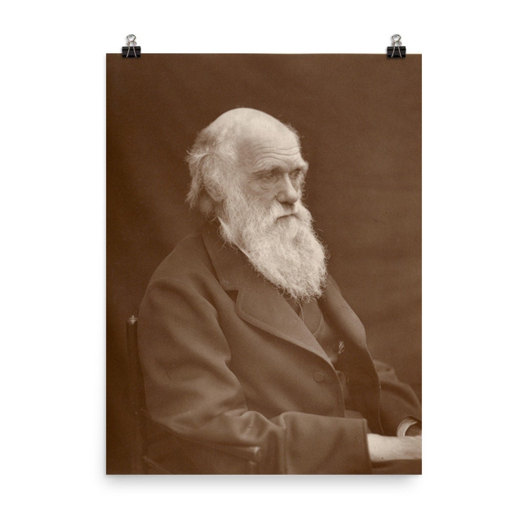 Photograph of Charles Darwin Poster Print - Etsy
