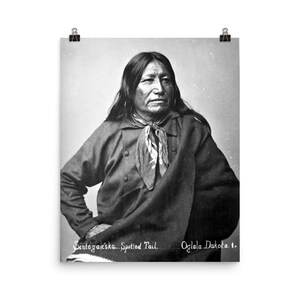 Chief Spotted Tail Poster Print - Etsy