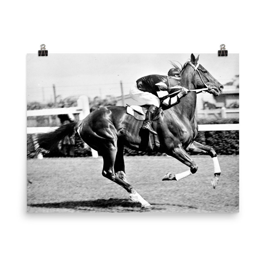 Phar Lap Poster Print - Etsy