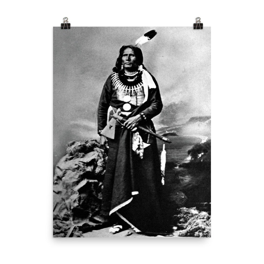 Chief Standing Bear Poster Print - Etsy