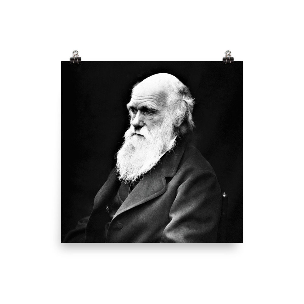 Charles Darwin Poster - Etsy