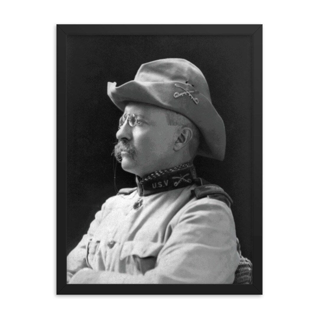 Col Theodore 'teddy' Roosevelt Framed Print - Etsy