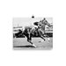 Phar Lap Poster Print - Etsy