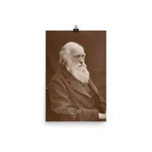 Photograph of Charles Darwin Poster Print - Etsy