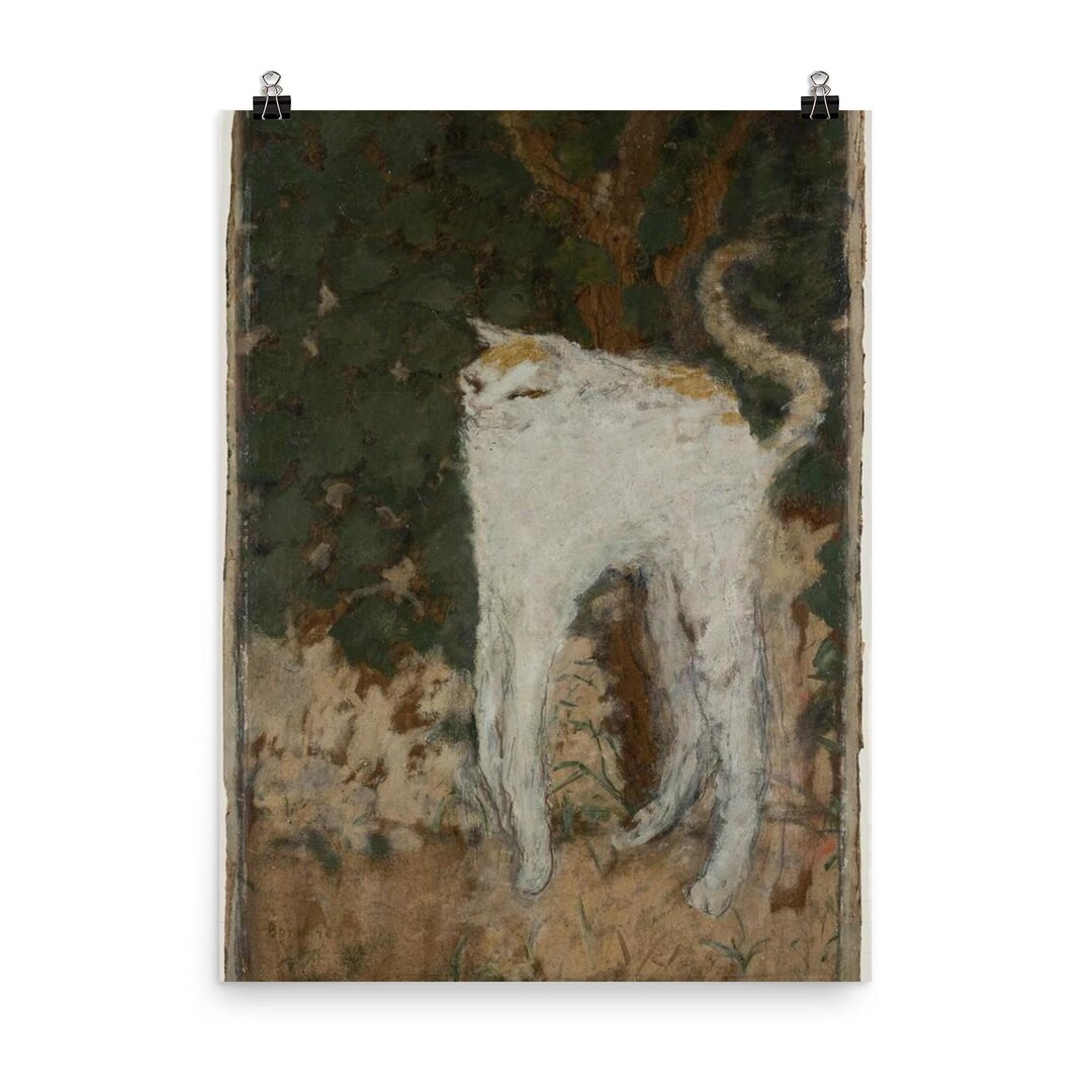 The White Cat by Pierre Bonnard, 1894 Poster Print - Etsy