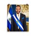 Nayib Bukele Poster Print - Official Portrait Poster Print - Etsy