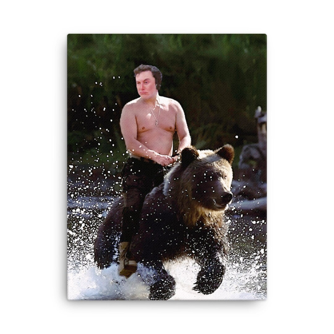 Elon Musk Riding A Bear Canvas Print - Canvas Wall Art - Etsy