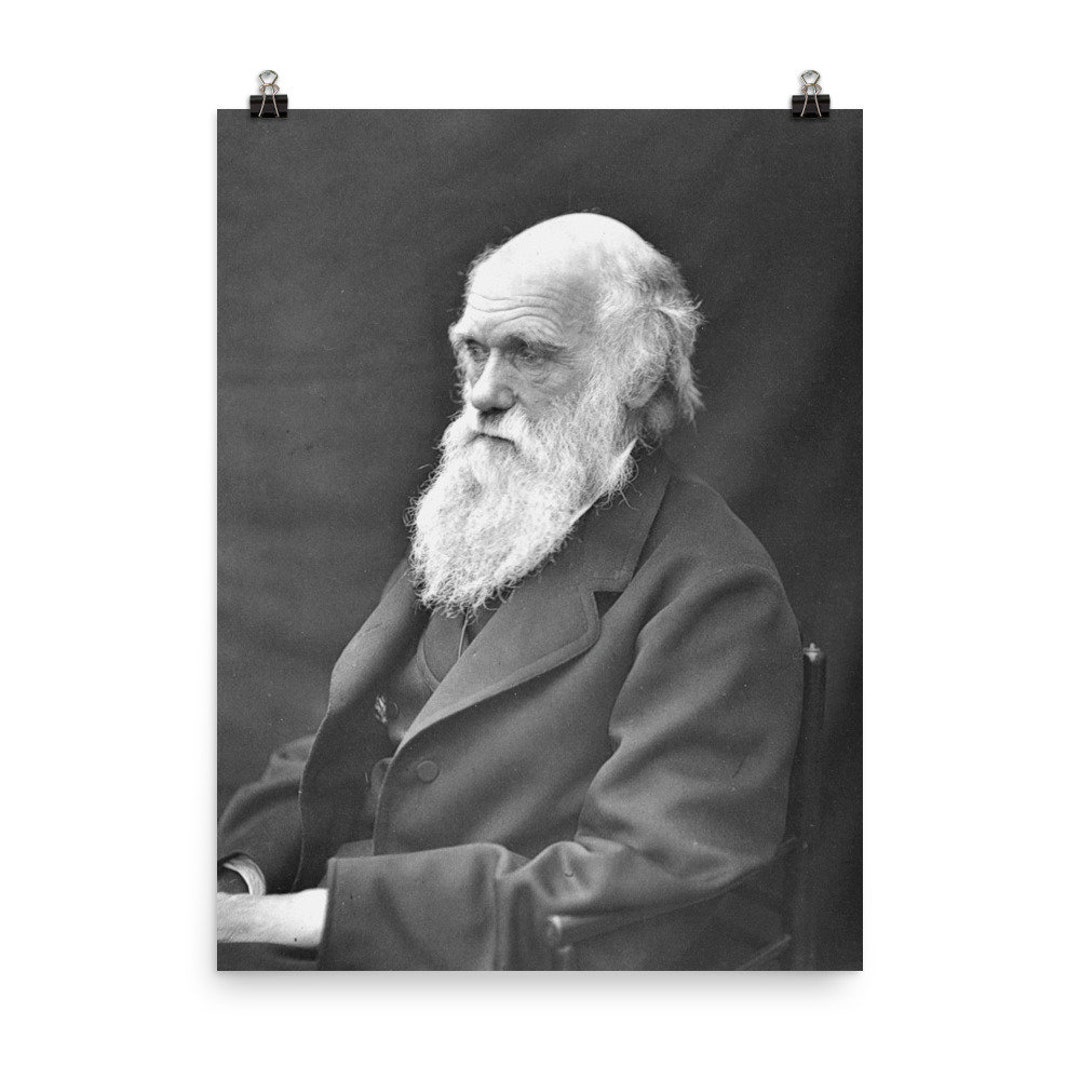 Charles Darwin Poster - Etsy
