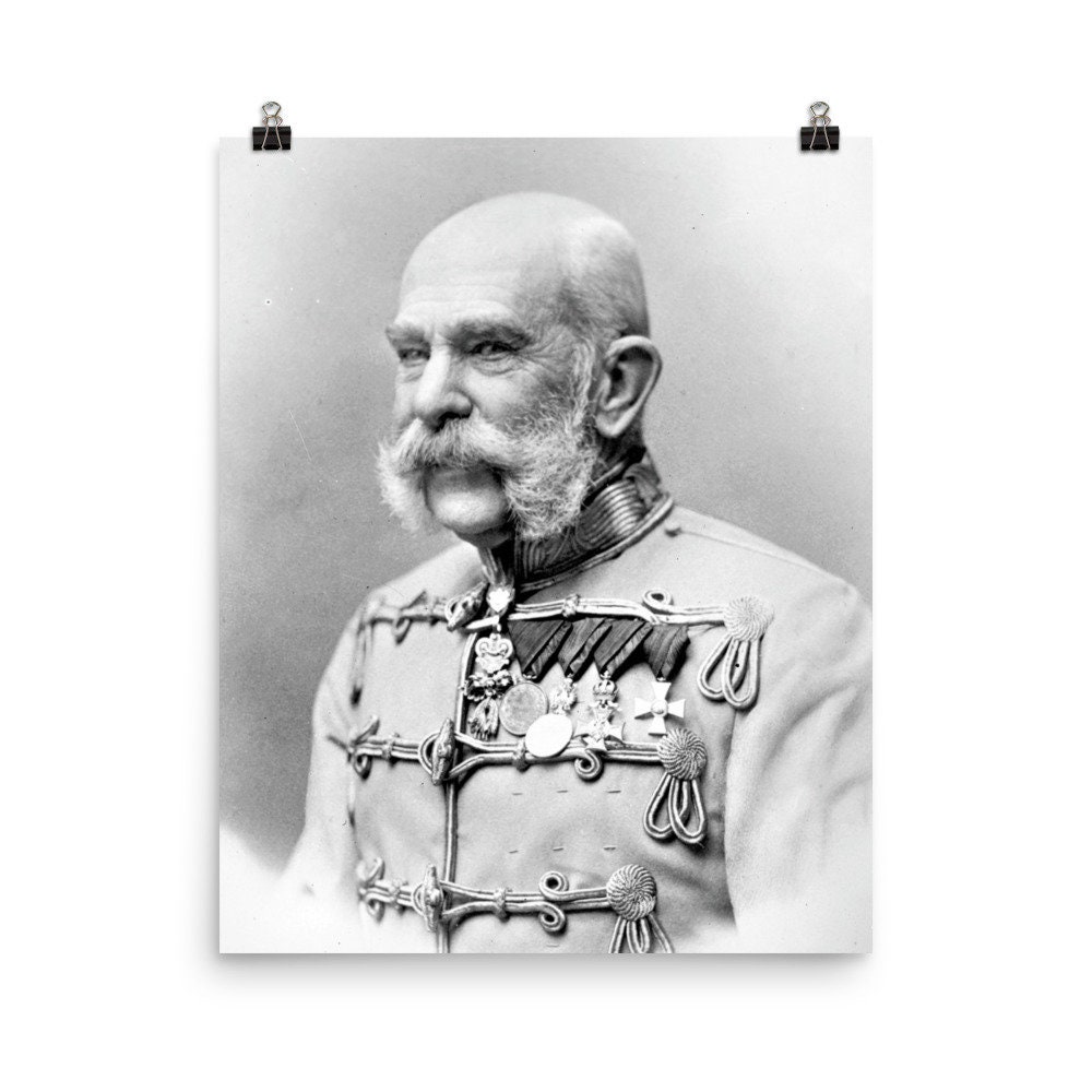 Franz Josef Poster Print - Etsy