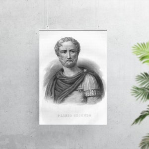 Pliny the Elder Poster Print – 18” X 24” - Etsy
