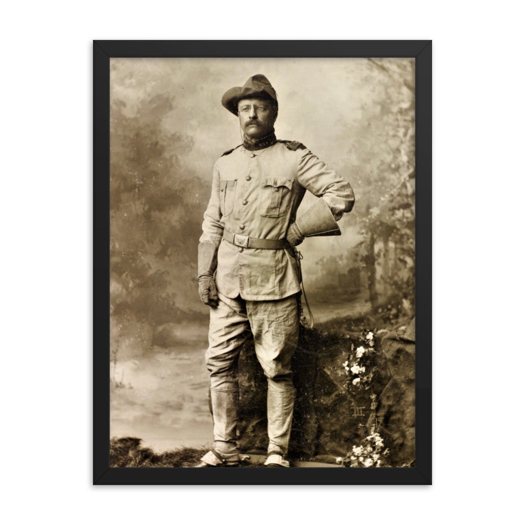 Colonel Theodore Roosevelt Framed Print - Etsy