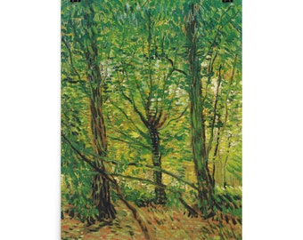 Vincent Van Gogh Trees and Undergrowth - Etsy