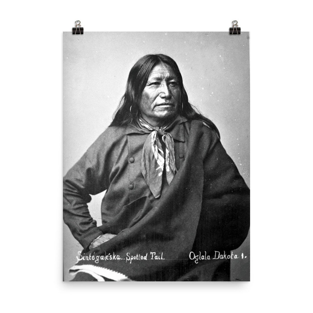 Chief Spotted Tail Poster Print - Etsy