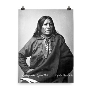 Chief Spotted Tail Poster Print - Etsy