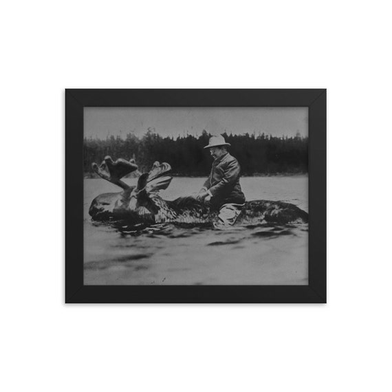 Teddy Roosevelt Moose Cool Roosevelt Riding A Moose Cool Teddy