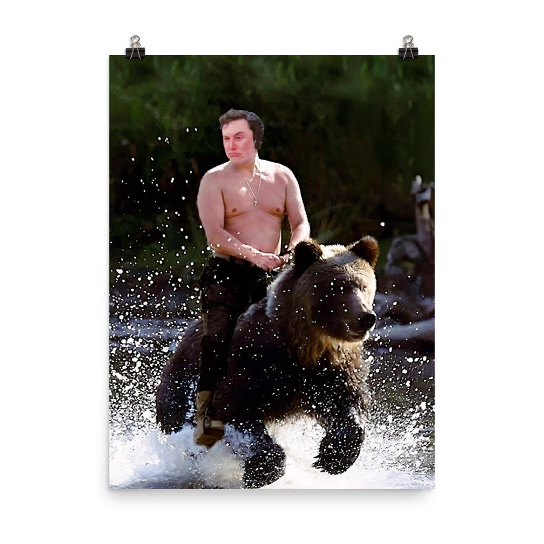 Elon Musk Poster Print - Funny Elon Musk Photo Riding a Bear Meme - Etsy