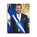 Nayib Bukele Poster Print Official Portrait Canvas Wall Art - Etsy