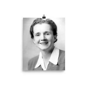 Rachel Carson Poster Print - Etsy