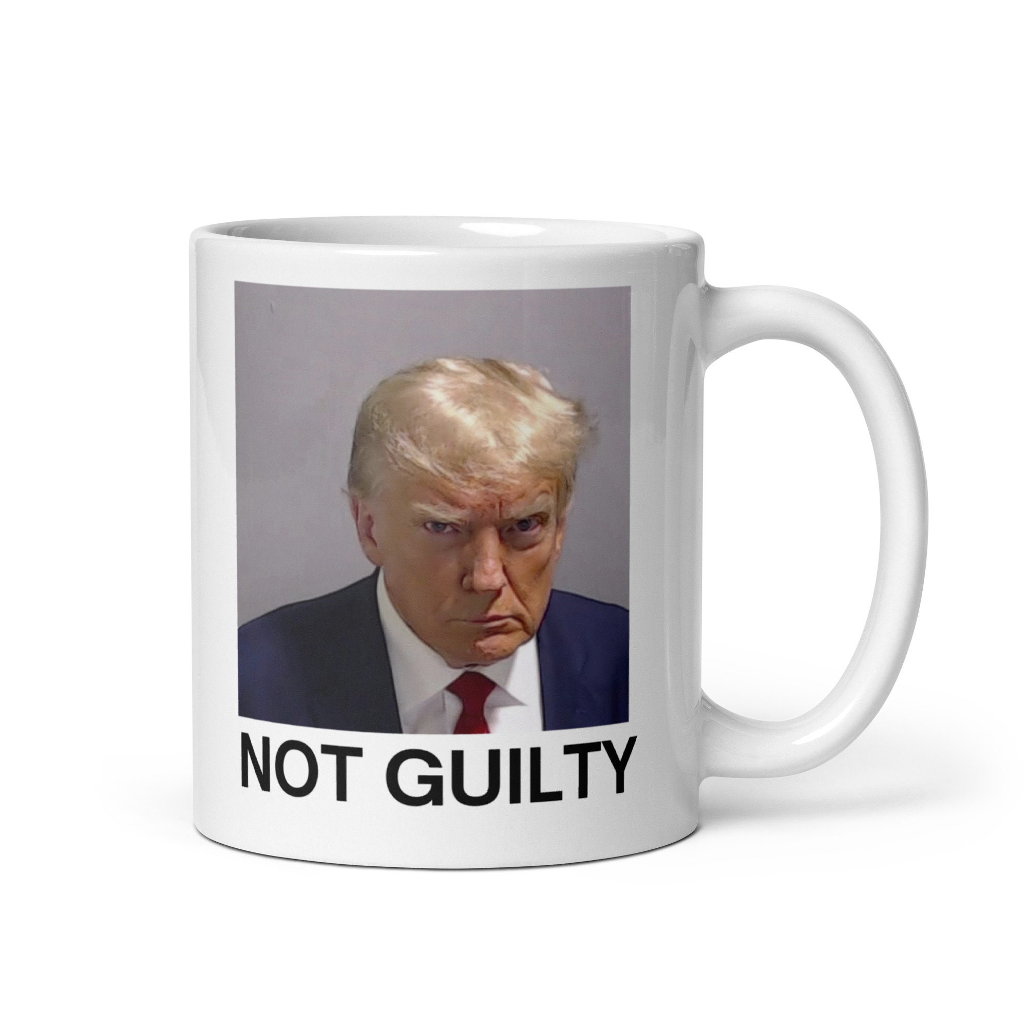 Trump Mugshot Not Guilty Mug sold by Sleigh Kitti | SKU 4426285 ...