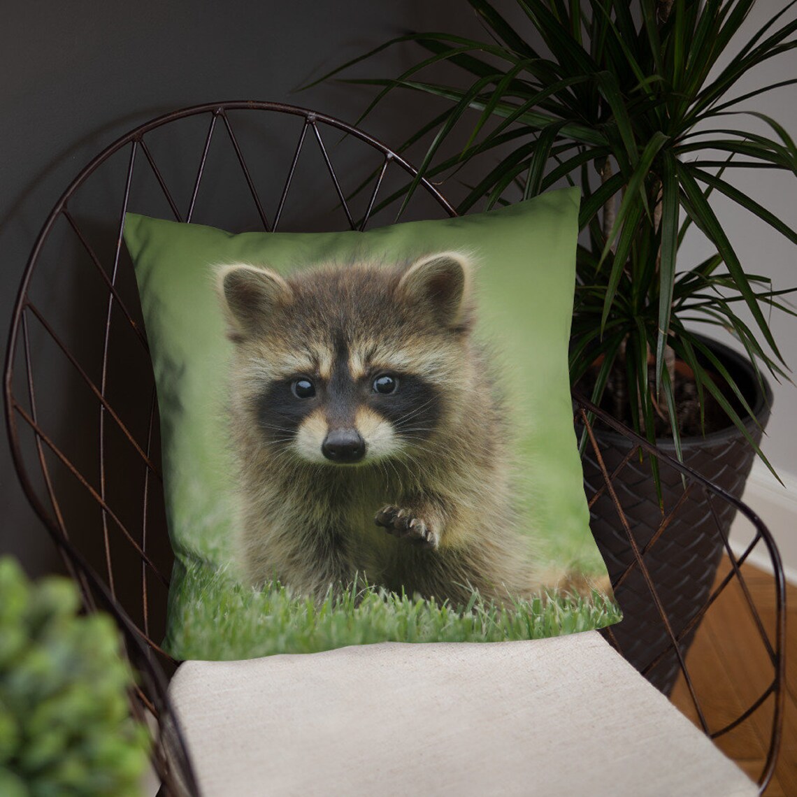 Cute Baby Raccoon Throw Pillow | Etsy