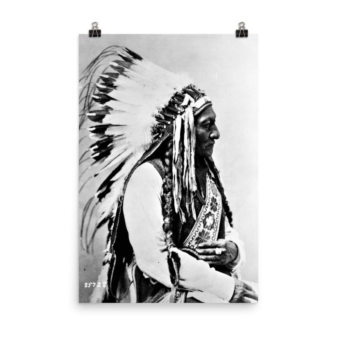 Sitting Bull, 1885 Poster Print - Etsy