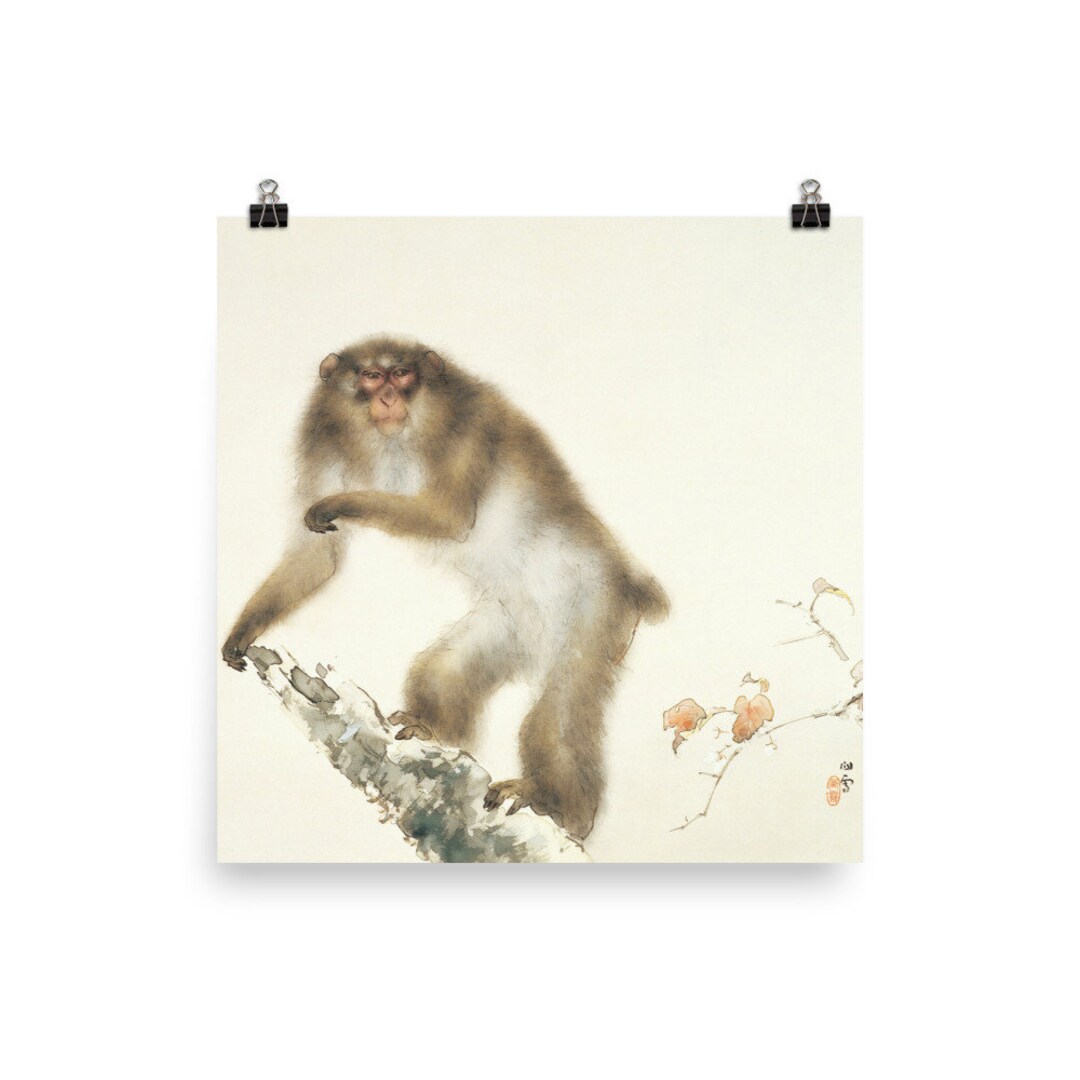 Old Monkey With Cherry in Autumn by Hashimoto Kansetsu Poster - Etsy
