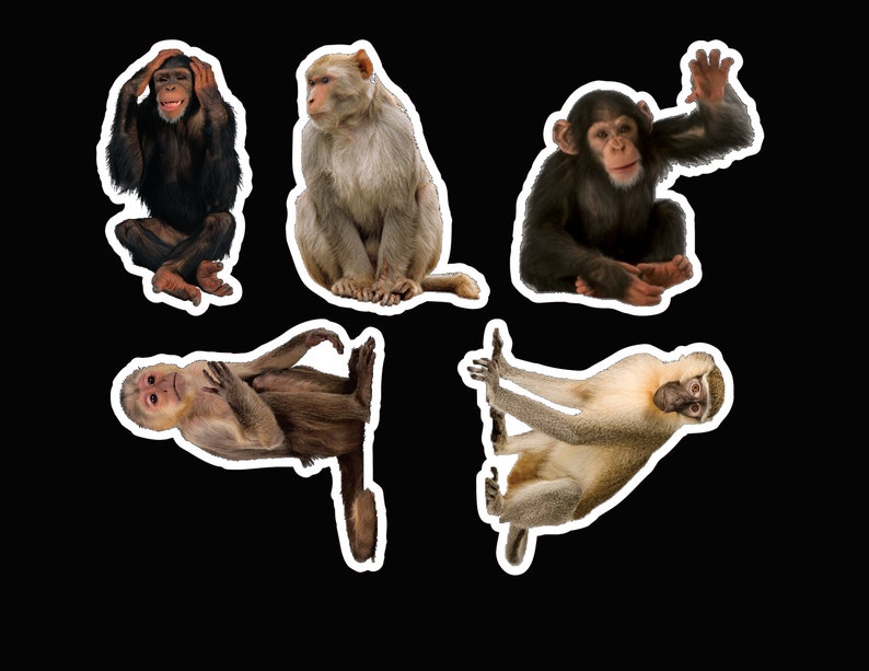 Monkey Sticker Pack Laminated Vinyl Waterproof Stickers - Etsy
