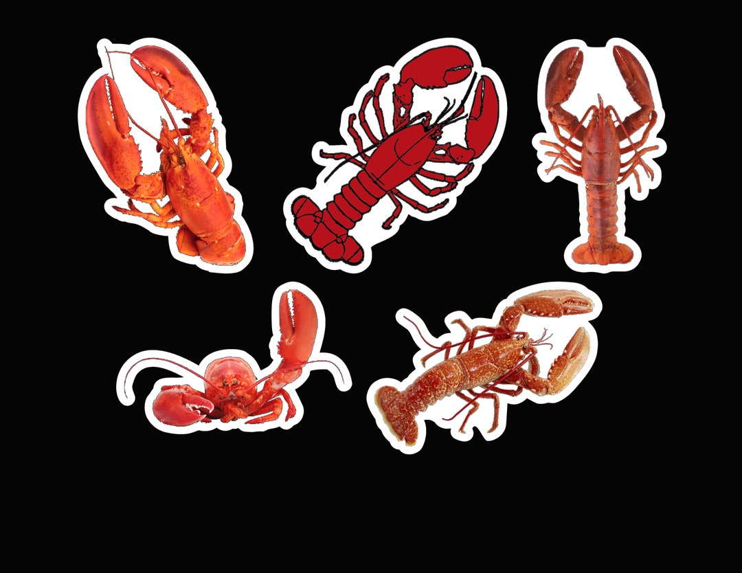 Lobster Sticker Pack Laminated Vinyl Waterproof Stickers - Etsy