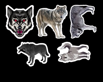 Wolf Pack Vinyl | Etsy